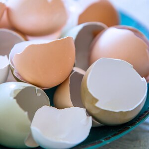 Eggshell Ritual Powder Cascarilla Ritual Egg Shell Powder - Etsy