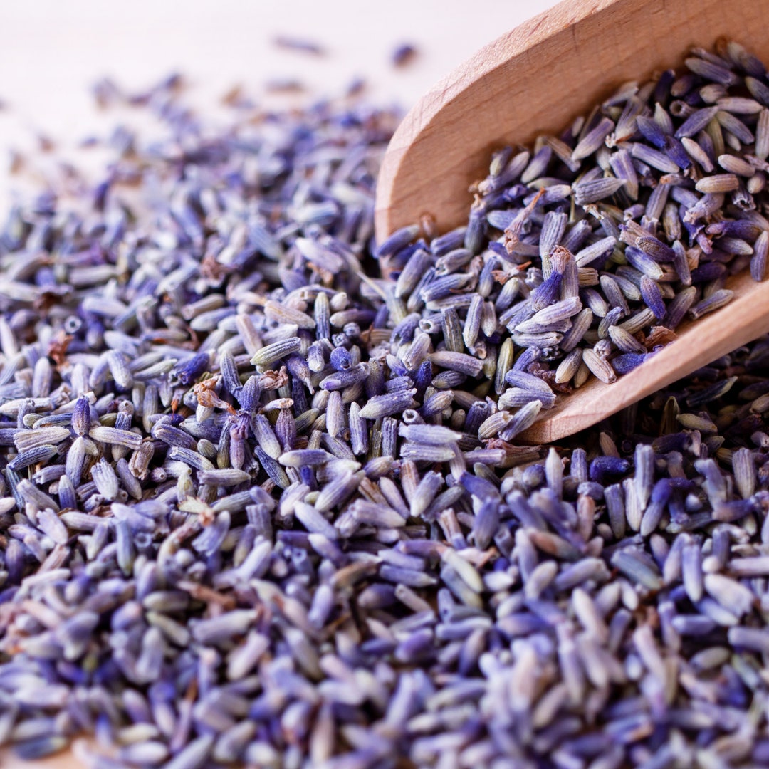 Organic Culinary Grade Lavender Lavender Buds Lavender Herb - Etsy