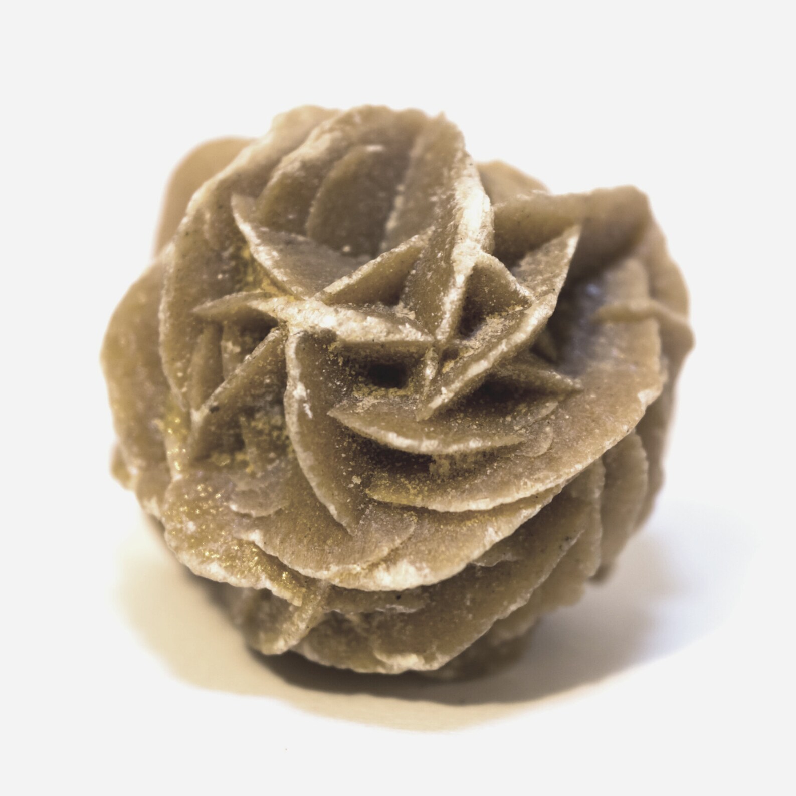 Desert Rose Desert Rose Stones Desert Rose Crystals - Etsy UK