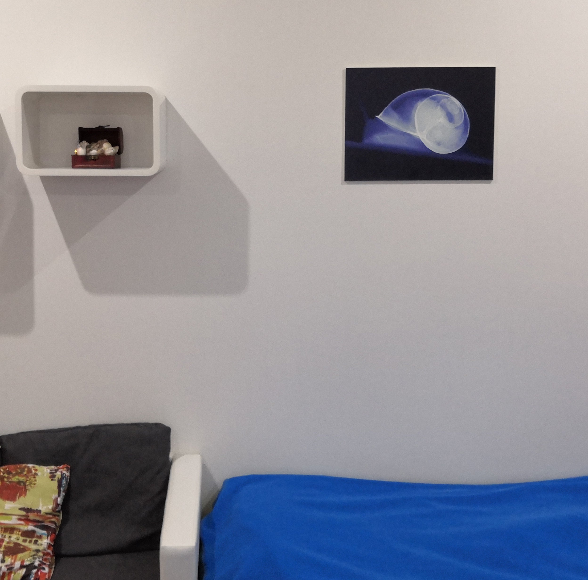 Snail X-ray Picture of a Live Snail - Etsy