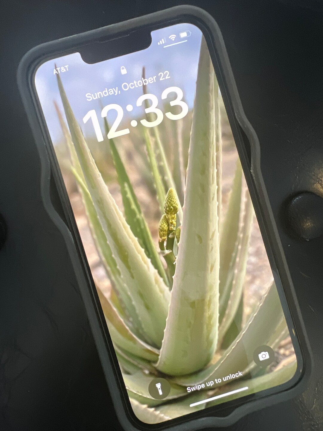 Aruba Aloe: Serene Screensaver Wallpaper Taken in the Aruba Aloe ...