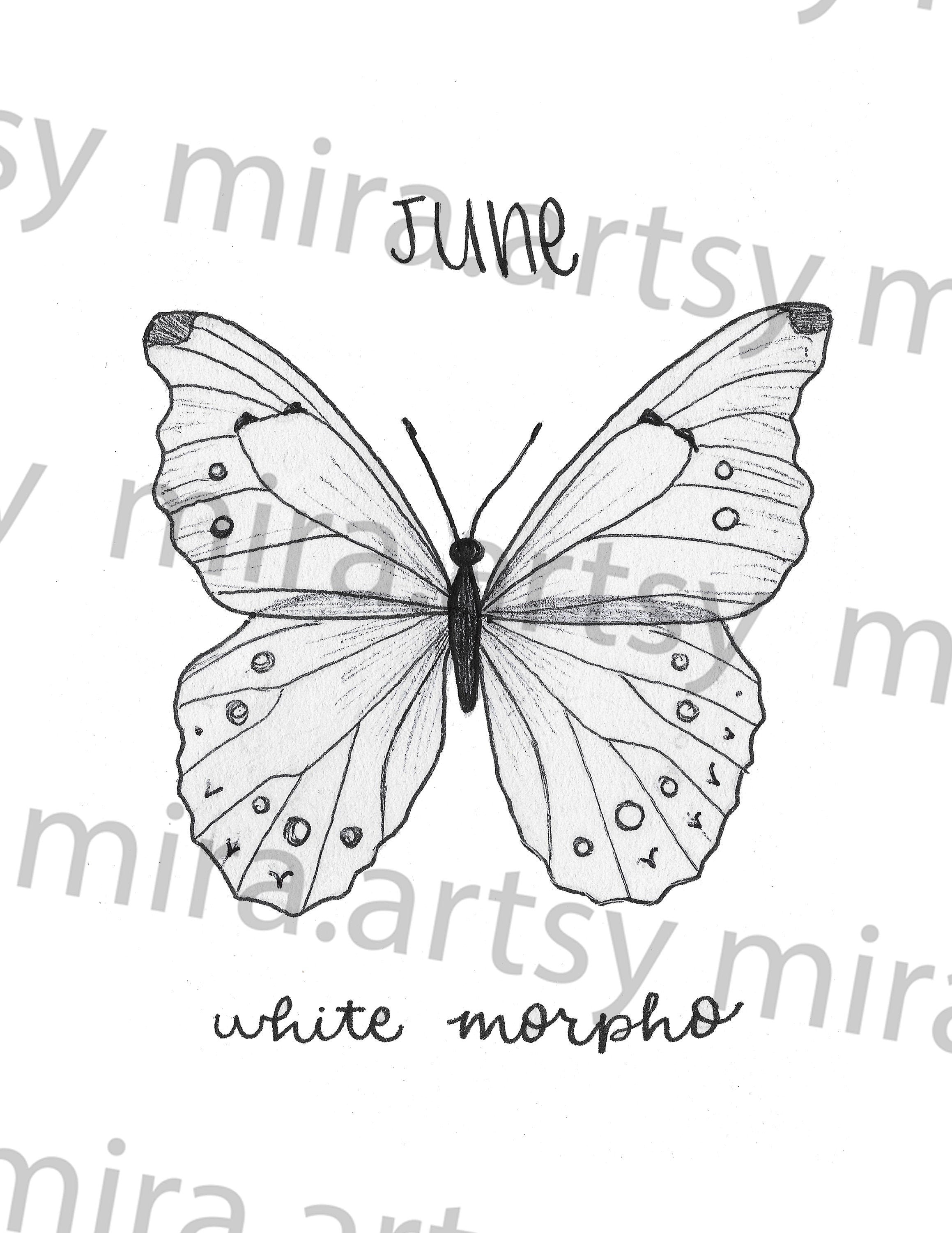 June Birth Month Butterfly Scan (white Morpho) - DIGITAL DOWNLOAD for ...