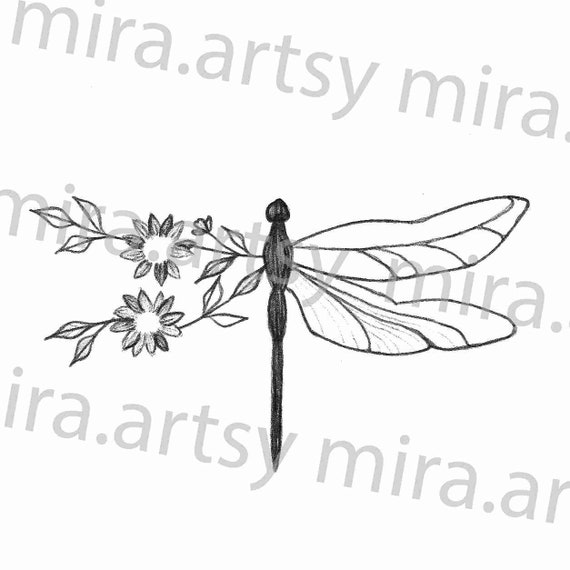 Dragonfly Drawings Designs