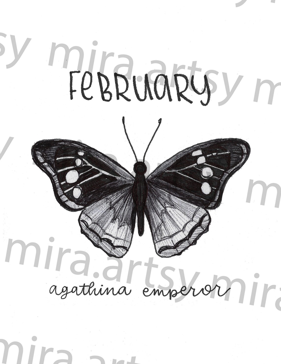 February Birth Month Butterfly Scan (agathina Emperor) - DIGITAL ...