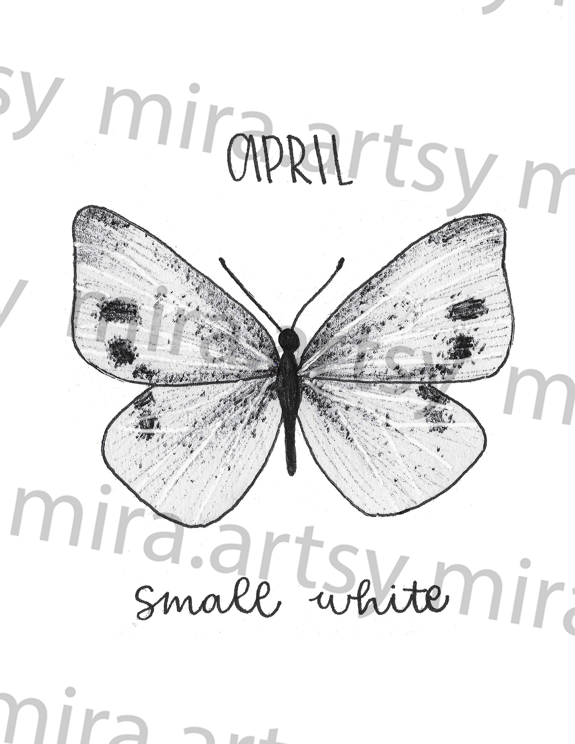 April Birth Month Butterfly Scan (small White) - DIGITAL DOWNLOAD for ...