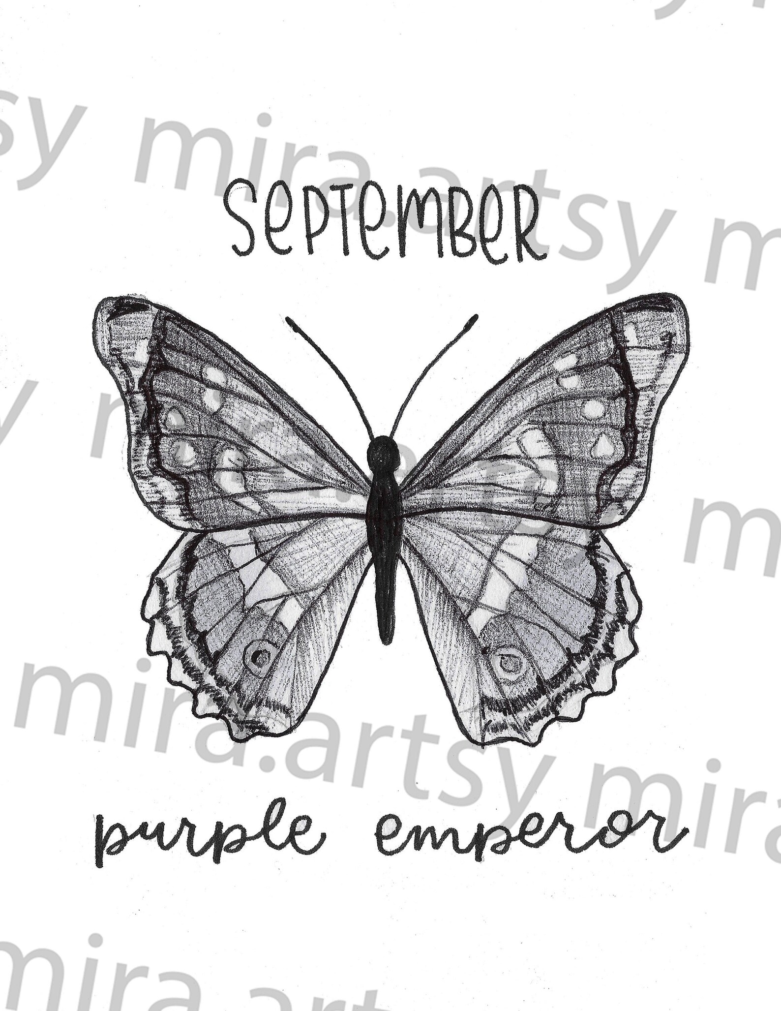 September Birth Month Butterfly Scan (purple Emperor) - DIGITAL ...