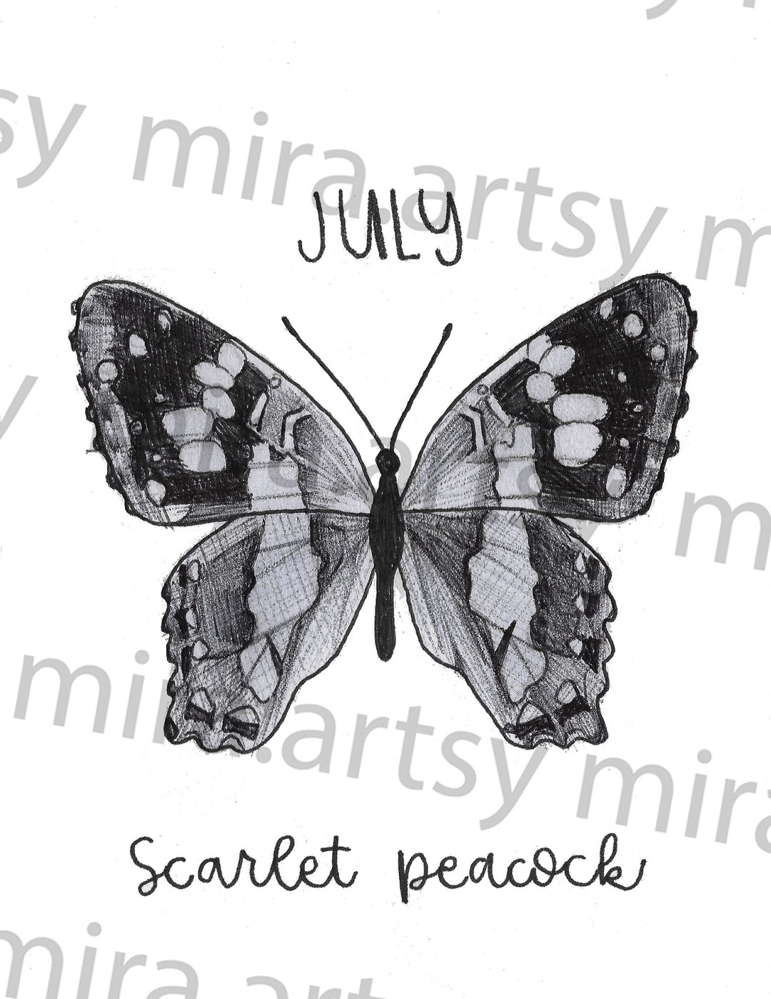 July Birth Month Butterfly Scan (scarlet Peacock) - DIGITAL DOWNLOAD ...
