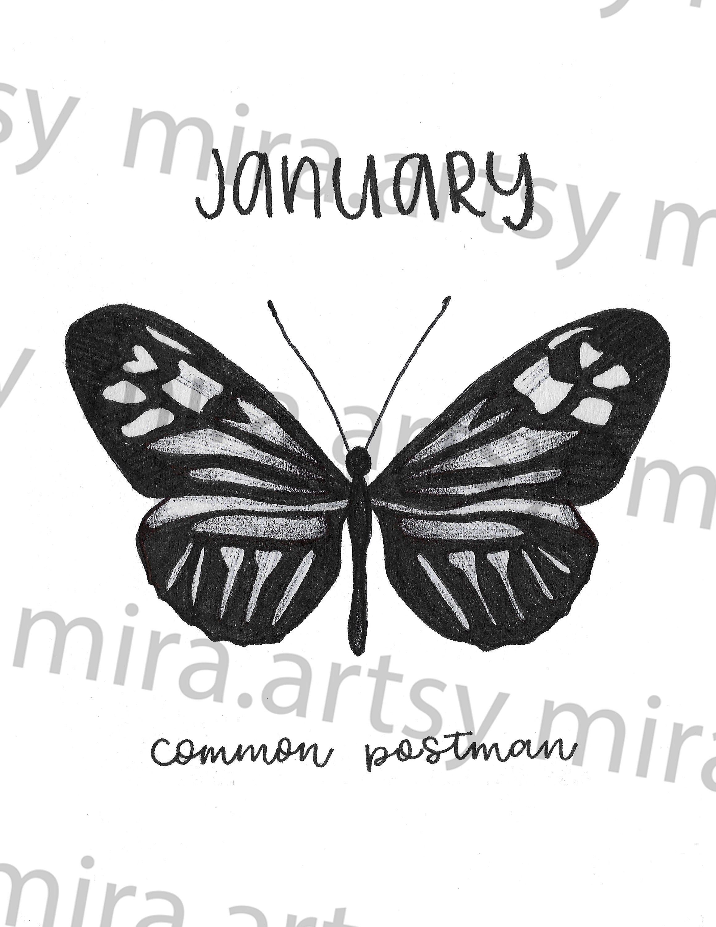 January Birth Month Butterfly Scan (common Postman) - DIGITAL DOWNLOAD ...