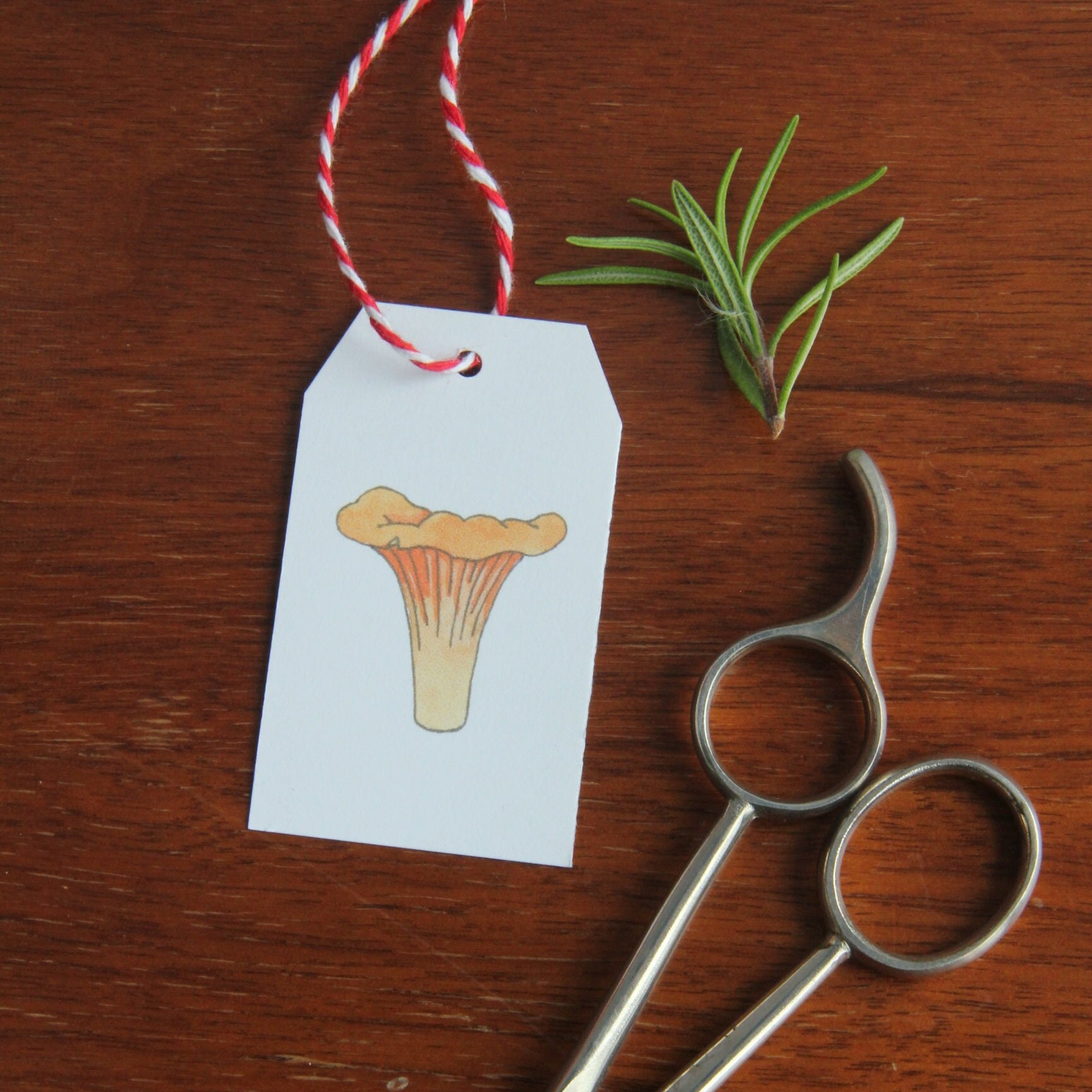 Printable Mushroom Gift Tags - Etsy