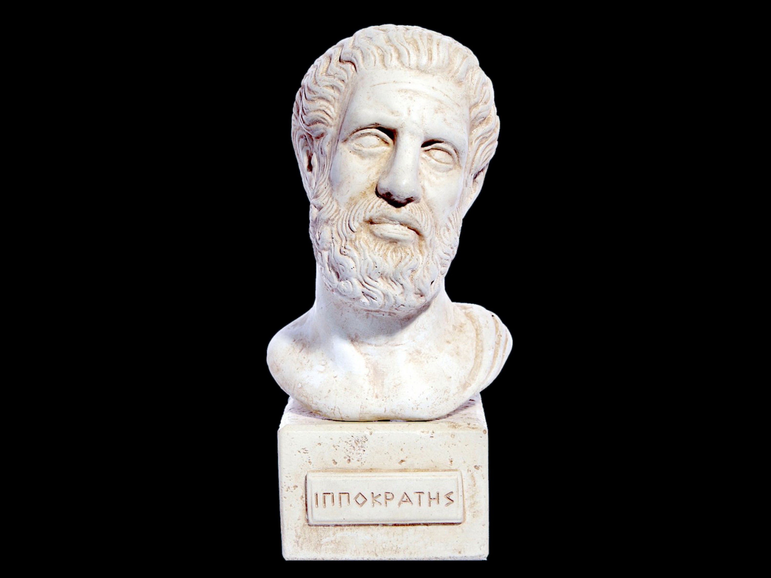 Hippocrates Bust Head Statue Father of Modern Medicine & - Etsy Polska