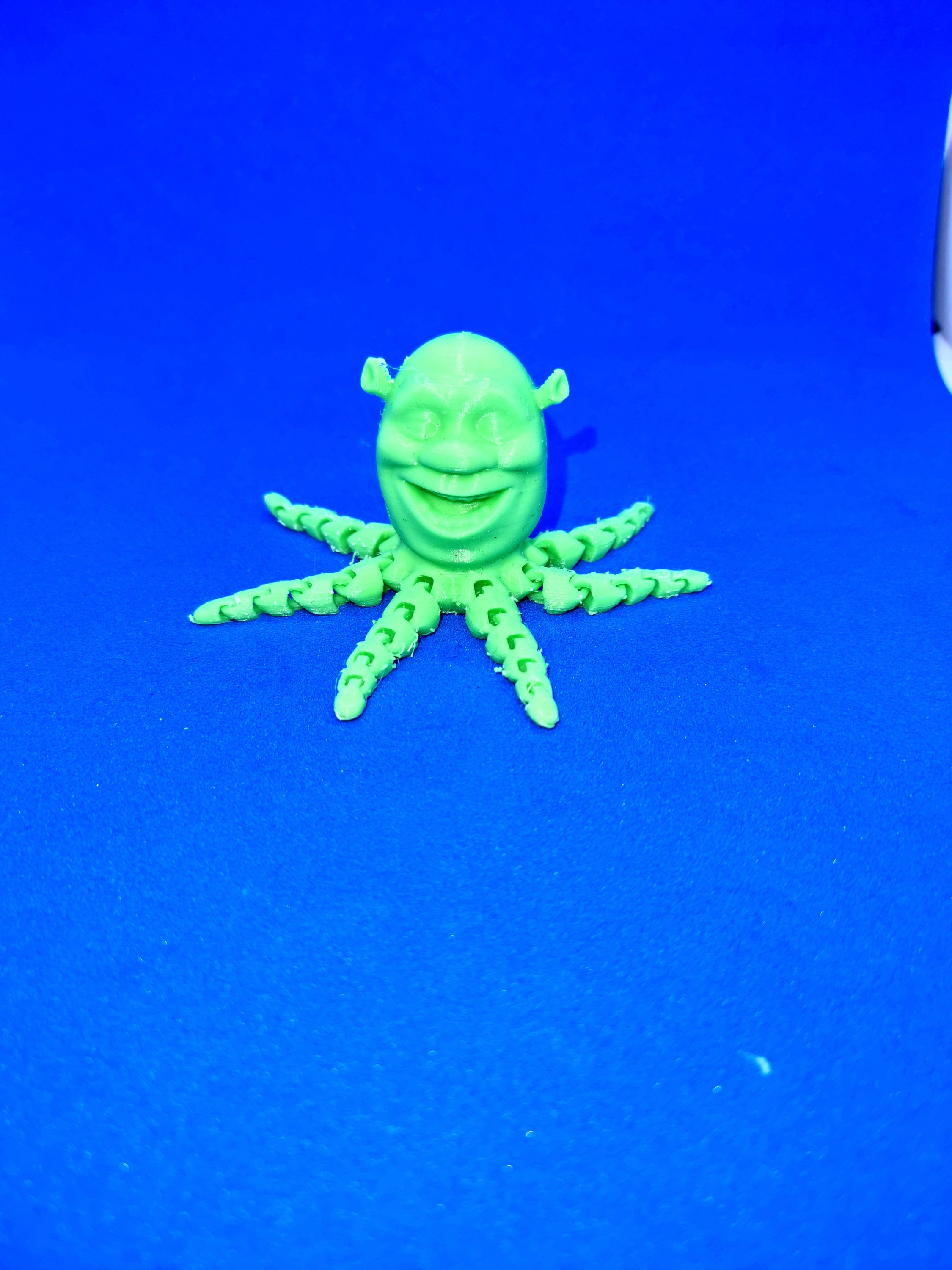 3d Printed the Shrektopuss Shrek Octopus Articulated Octopus - Etsy