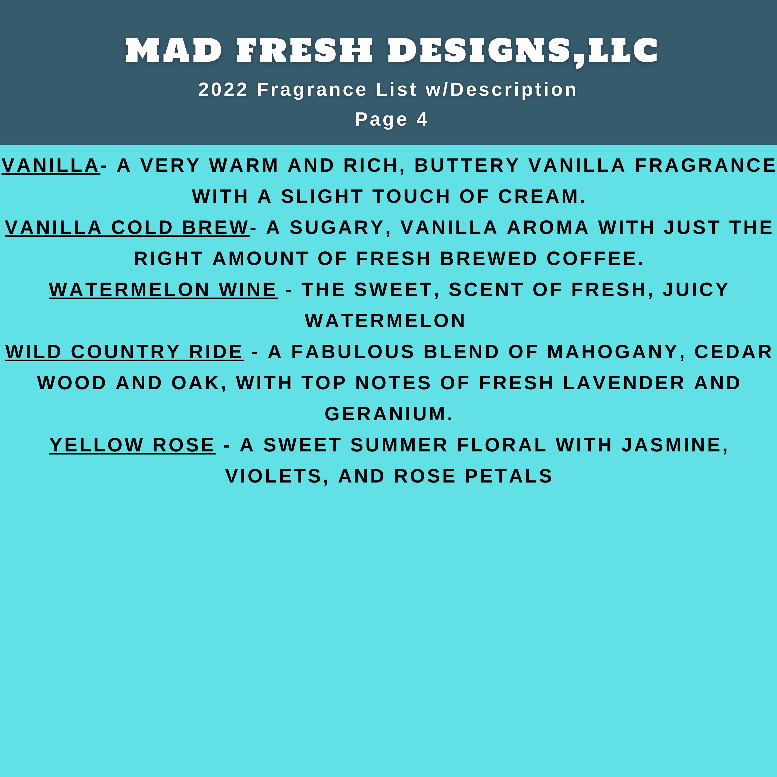 Cactus Car Freshie, Aroma Bead Car Air Freshener, Air Freshie, Car Air ...