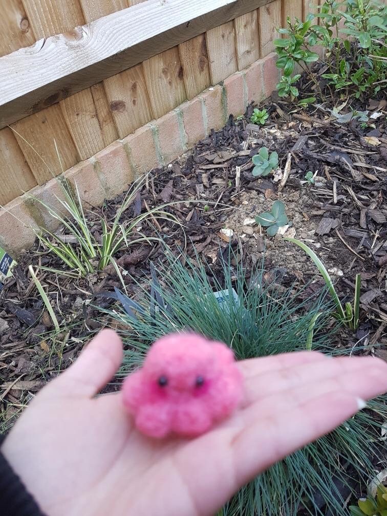 Octopus Family - Etsy