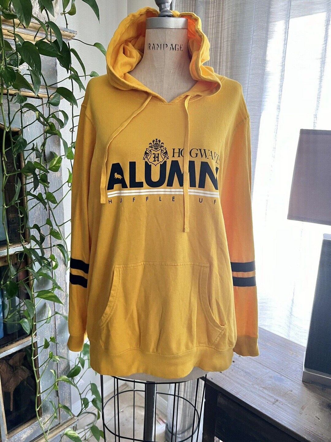 Harry Potter Hufflepuff Hogwarts Alumni Hoodie Box Lunch Plus Size 2X ...