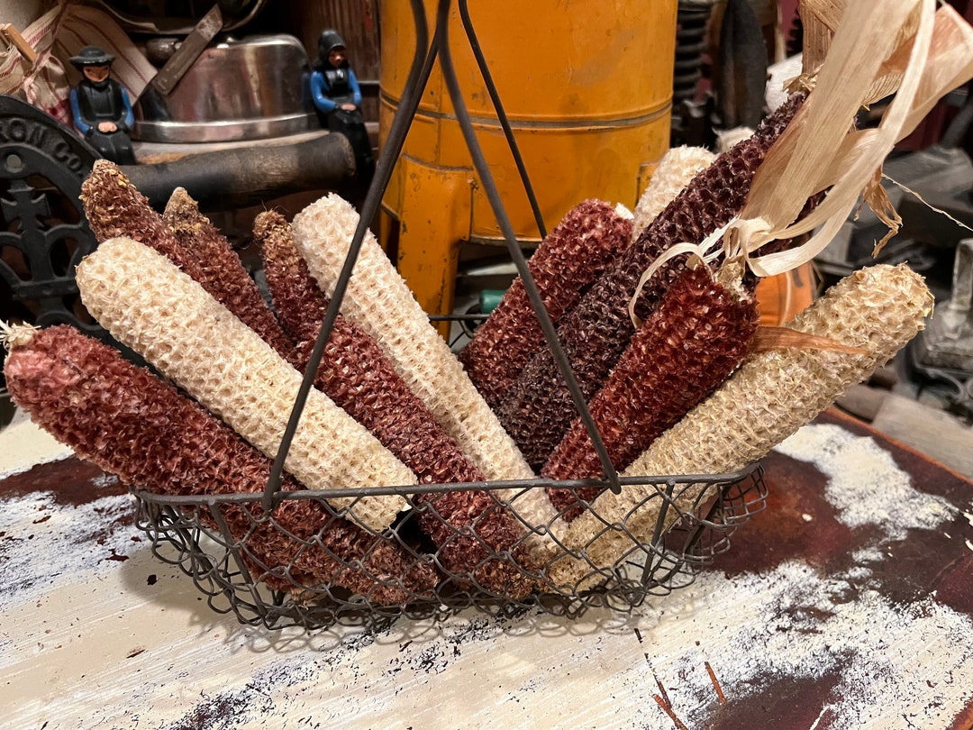 13 Dried Corn Cobs Red & White Corn Cobs Craft Project - Etsy