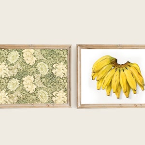 Tropical Vintage Gallery Set, Vintage Tropical Set of Prints, Vintage ...