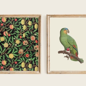 Tropical Vintage Gallery Set, Vintage Tropical Set of Prints, Vintage ...