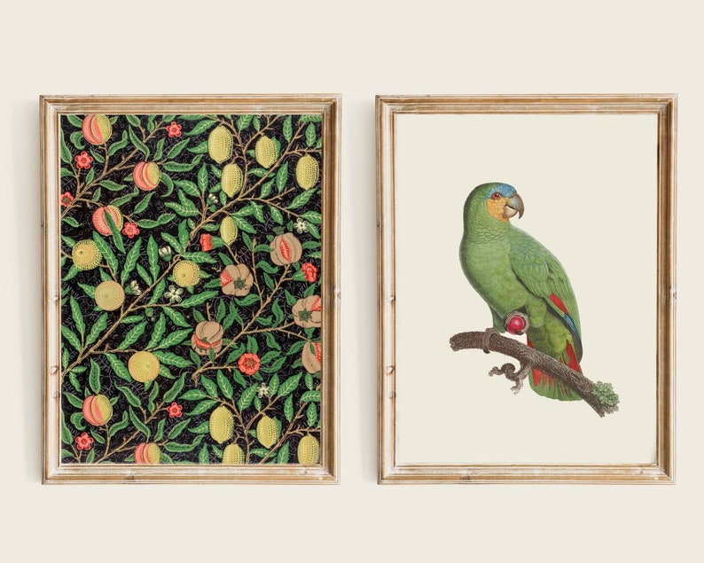 Tropical Vintage Gallery Set Vintage Tropical Set of Prints - Etsy
