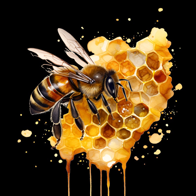 Honey Bee and Honeycomb Clipart Vector PNG and SVG Instant - Etsy