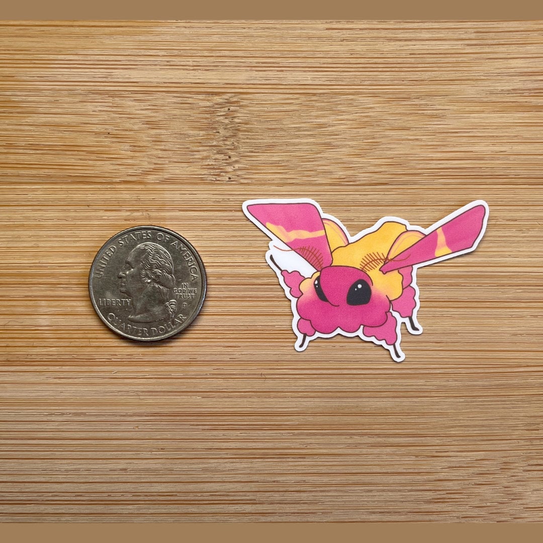 Moths Sticker Pack 3pc Fluffy Bug Art Matte Sticker - Etsy