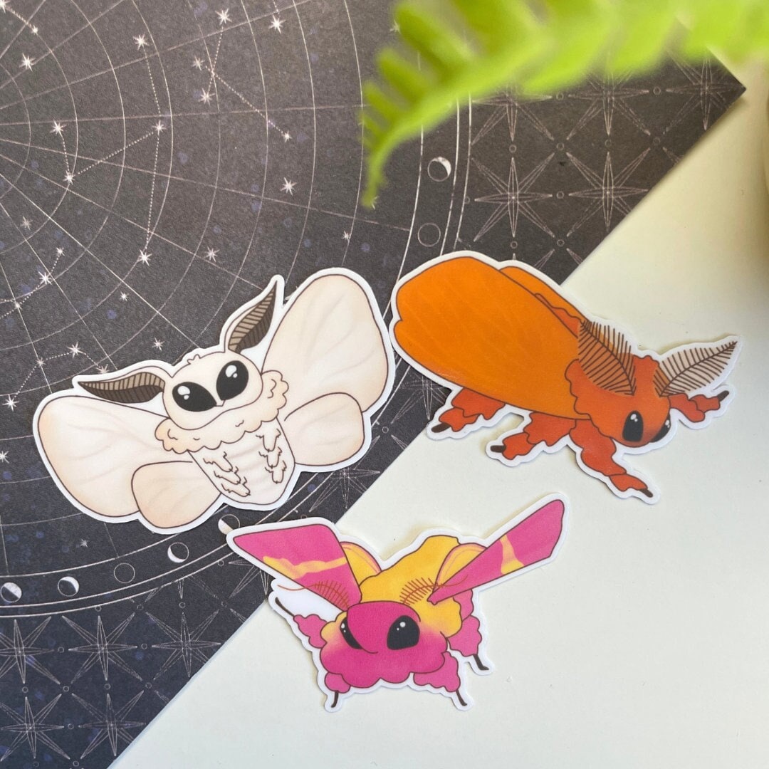 Moths Sticker Pack (3pc) | Fluffy Bug Art | Matte Sticker - Etsy
