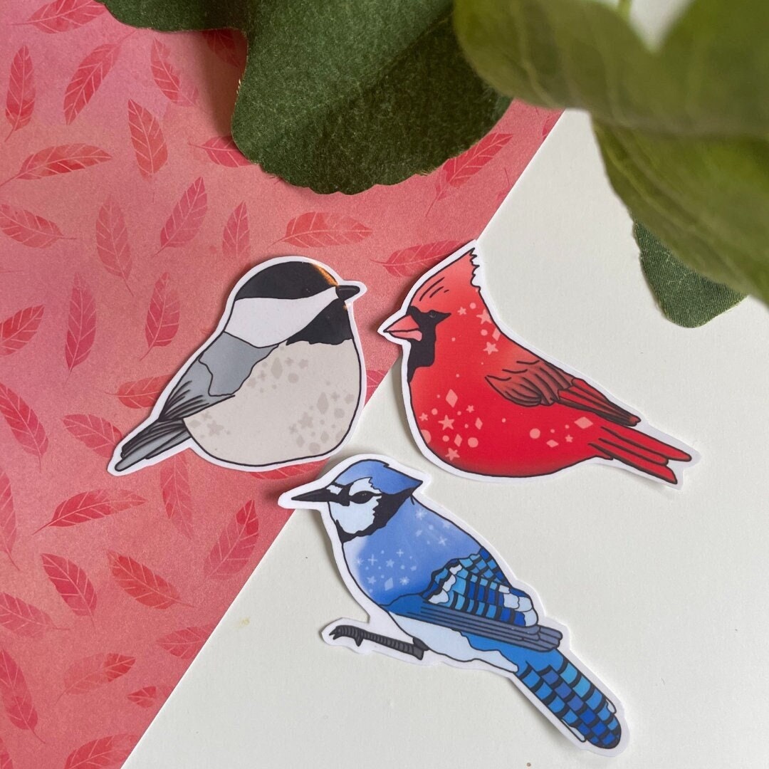 Spring Birds Sticker Pack (3pc) | Original Midwest Nature Art | Glossy ...