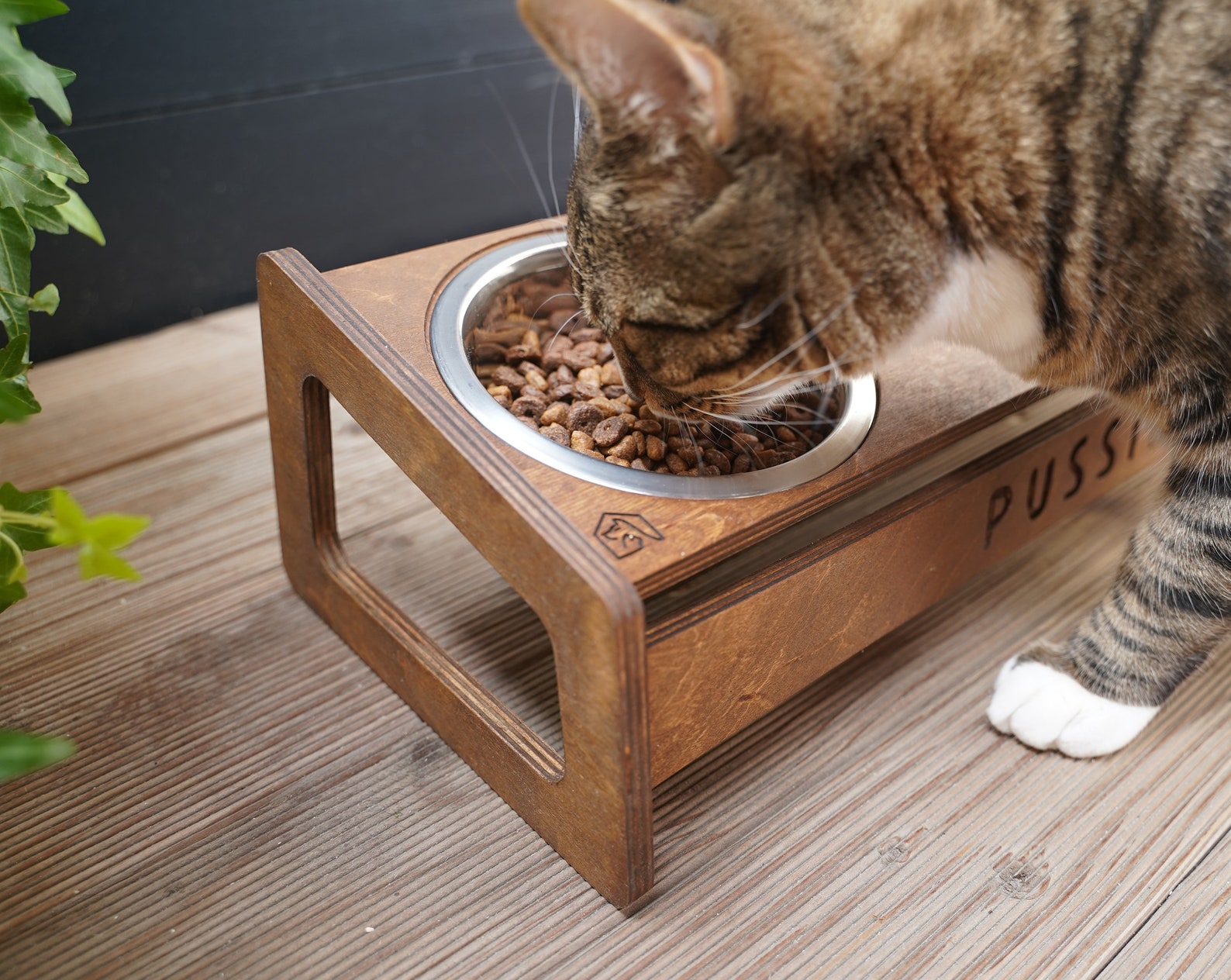 Raised Cat or Small Dog Bowls Stand Elevated Food Stand - Etsy