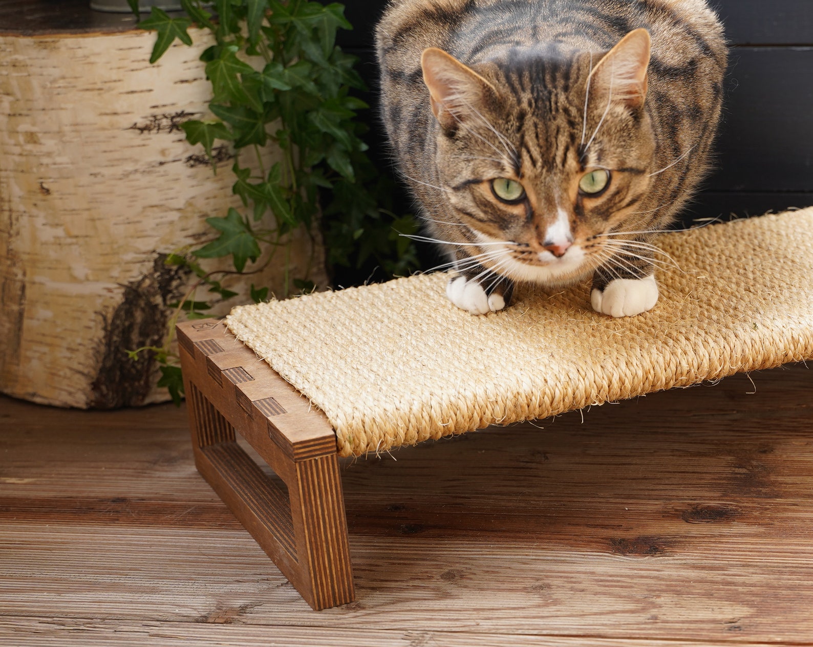 Modern Floor Cat Scratcher Cat Sisal Horizontal Board Cat | Etsy