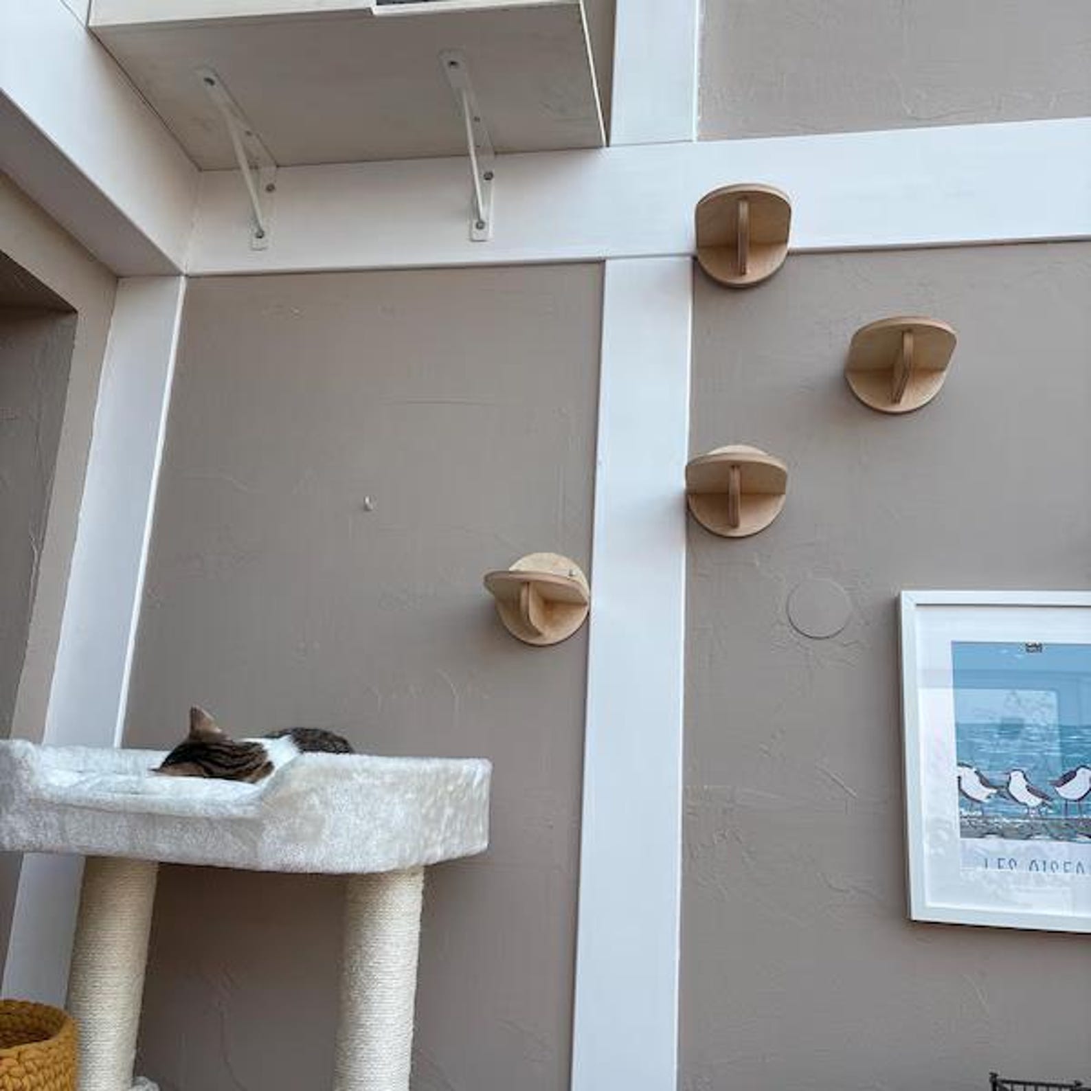 Long Cat Steps/ladder/shelves (25cm/10in) - Elevate Your Feline Friend ...