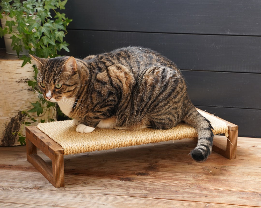 Modern Floor Cat Scratcher Cat Sisal Horizontal Board Cat - Etsy