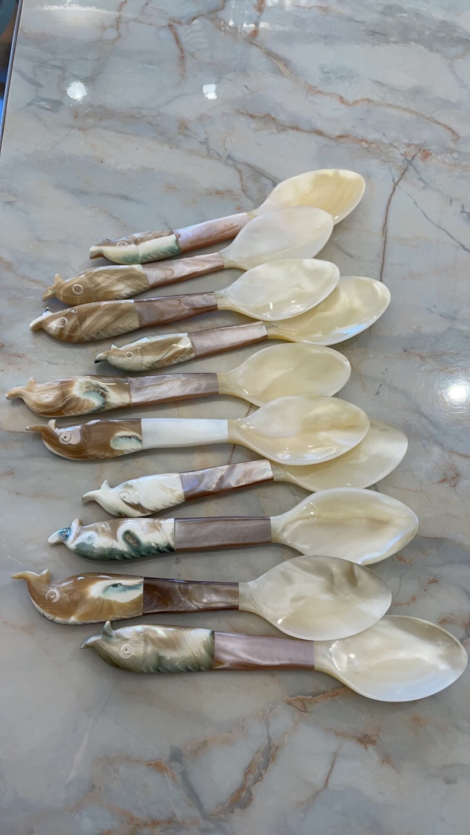 SET of 6 Mother of Pearl Spoon Shell Spoon Caviar Spoon Sea - Etsy