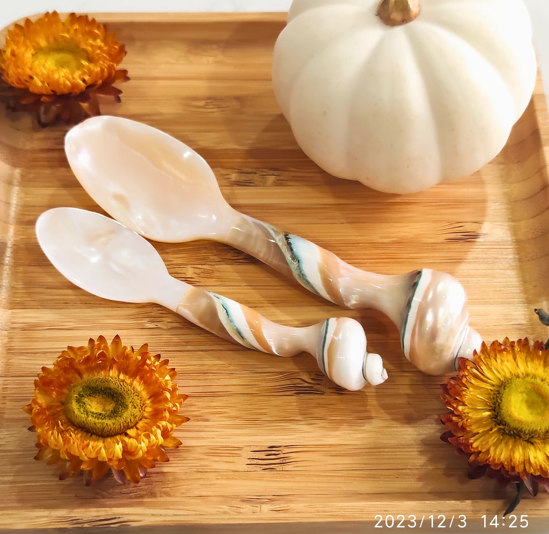 Mother of Pearl Spoon, Shell Spoon, Caviar Spoon, Sea Shell Spoon ...