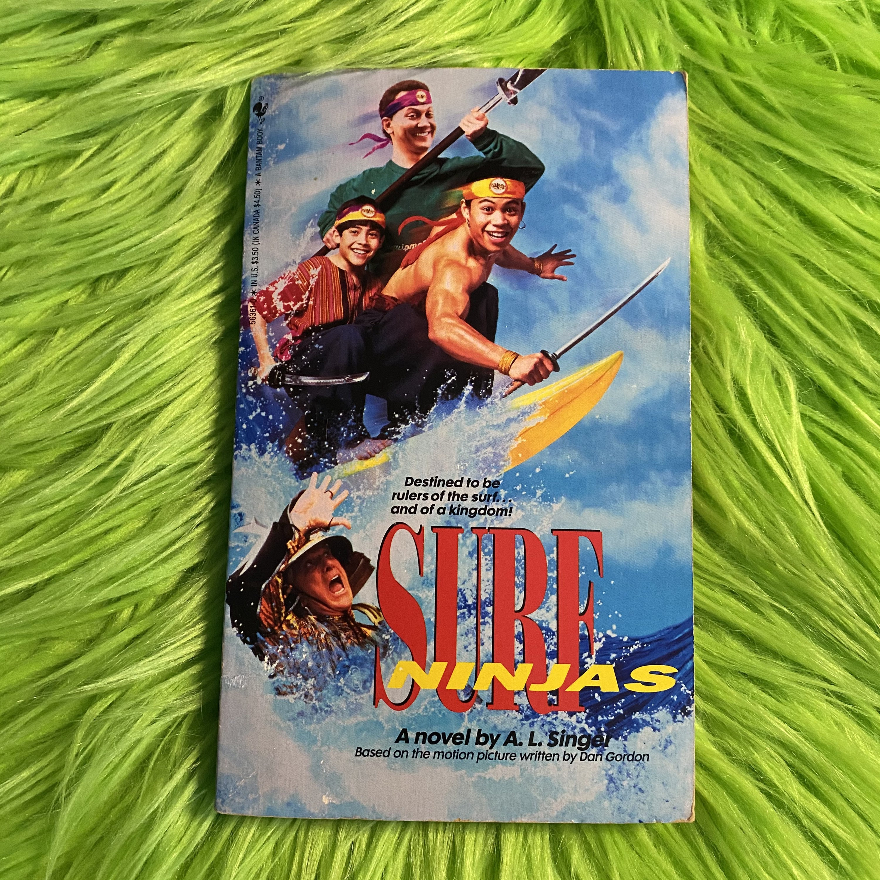 Surf Ninjas Poster