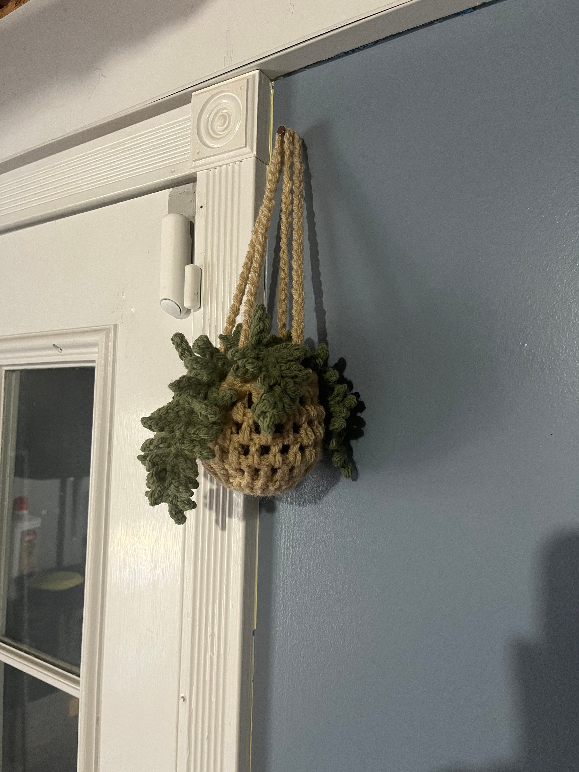 Small Crochet Hanging Plant - Etsy