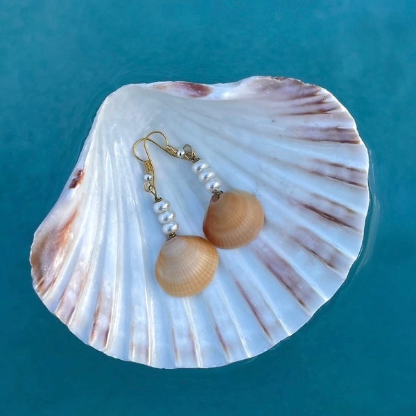 Seashell Earrings - Etsy