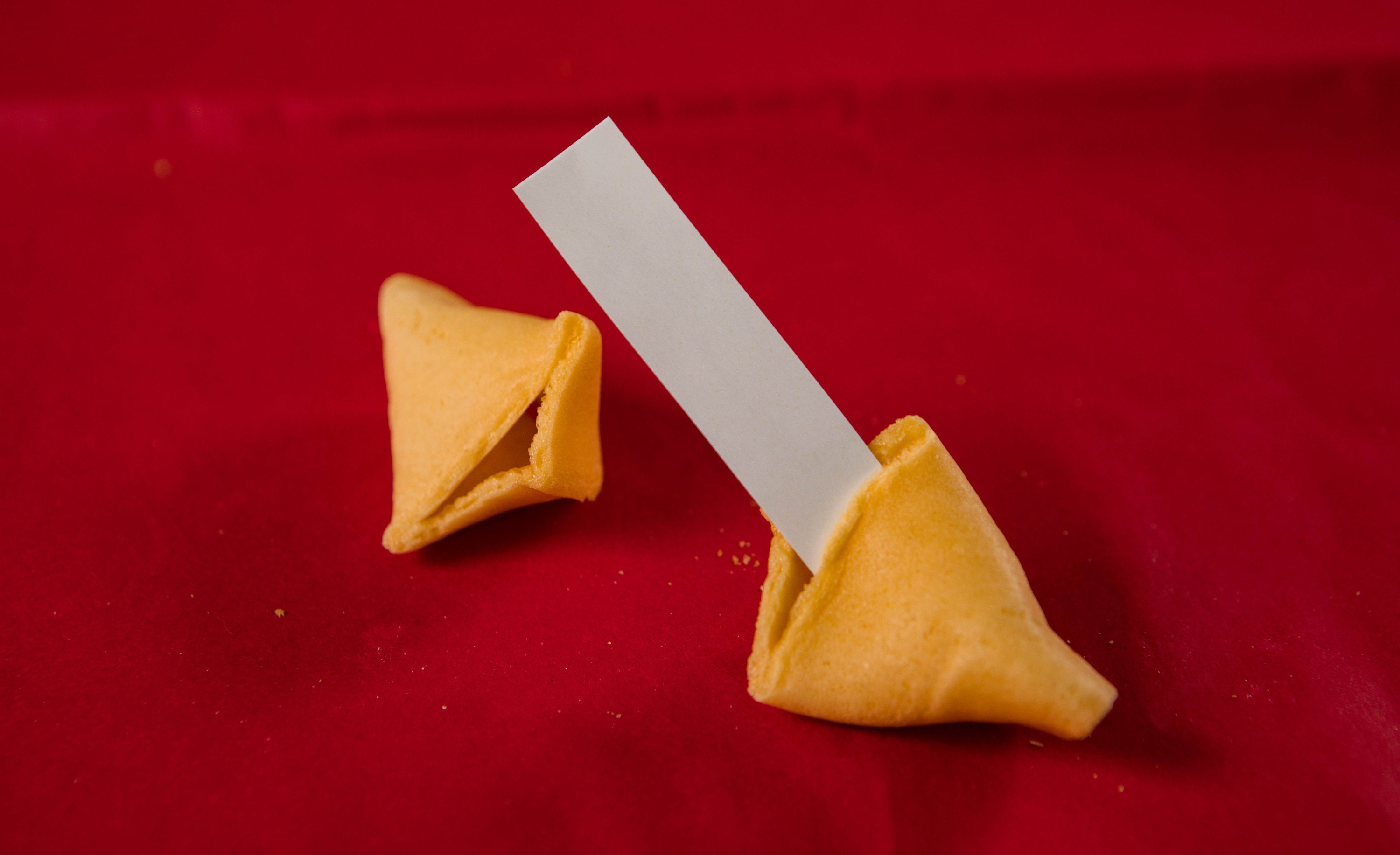 Fifty 50 Custom Fortune Cookies Gourmet Vanilla Flavor | Etsy