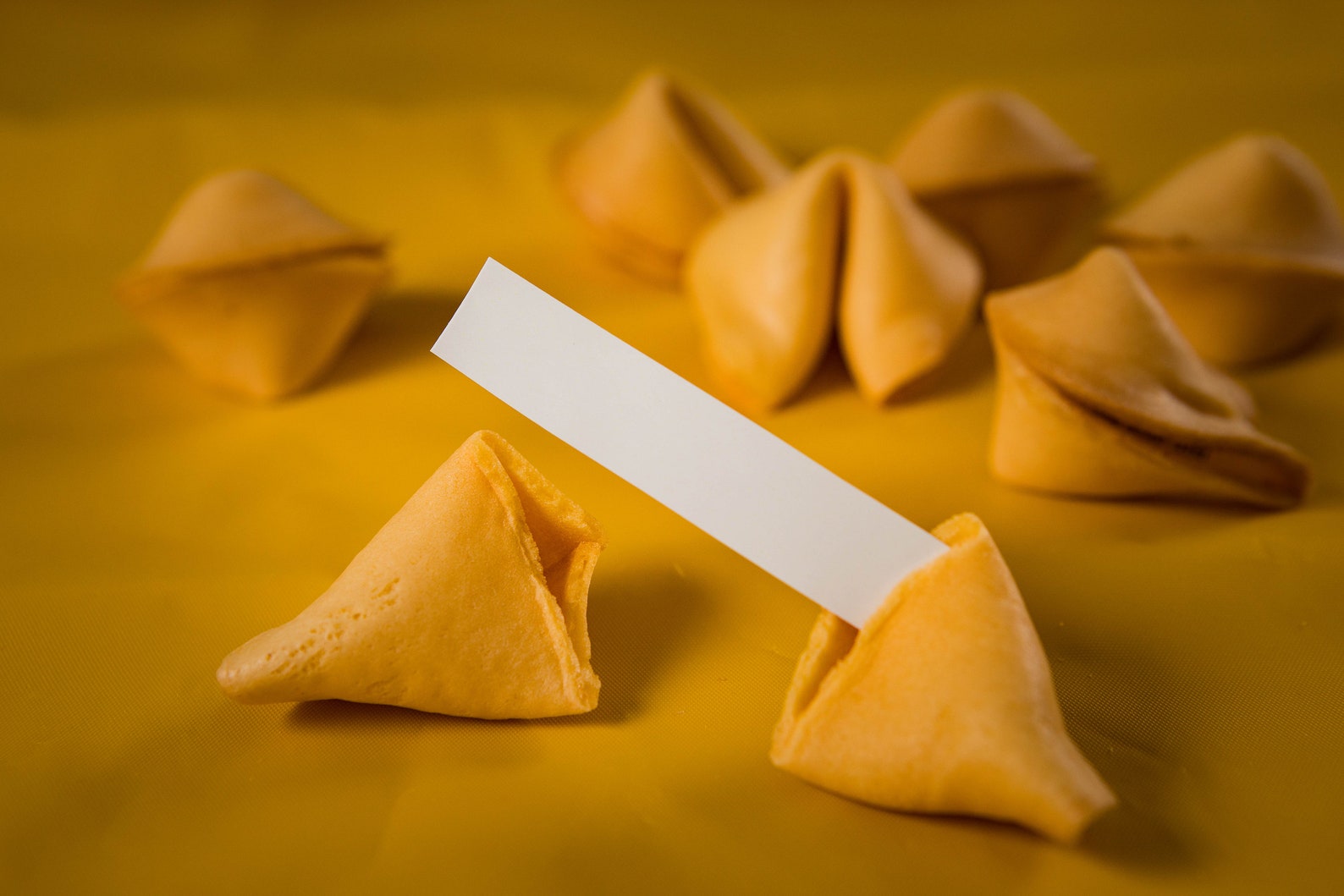 Fifty 50 Custom Fortune Cookies Gourmet Vanilla Flavor - Etsy UK