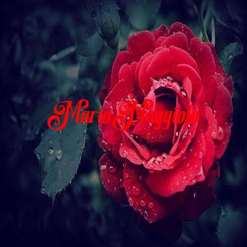 MarioMaggioloDesign - Etsy