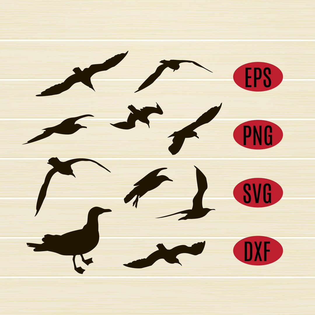 Seagull SVG Bundle, Seagull Clipart, Flying Birds Silhouettes Svg ...