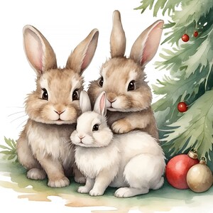 Cute Christmas Bunny Rabbit Clipart 12pc Downloads for Festive Card ...
