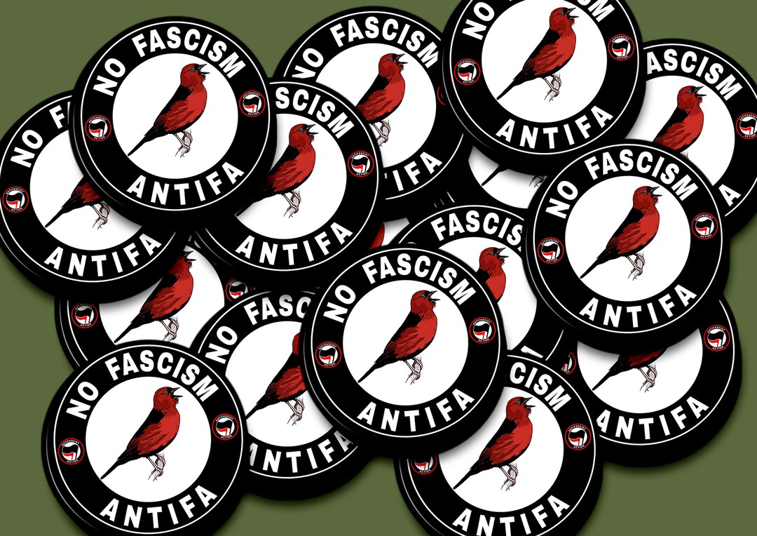 15 Pack Antifa Mini Vinyl Stickers, No Fascism, No Fascism No ...