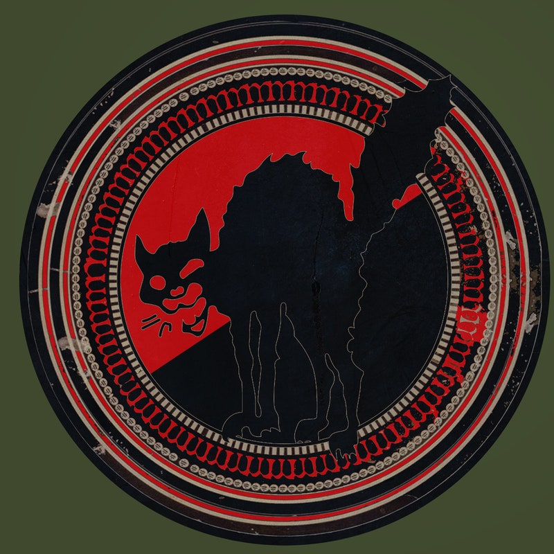 Anarchist Cat - Etsy