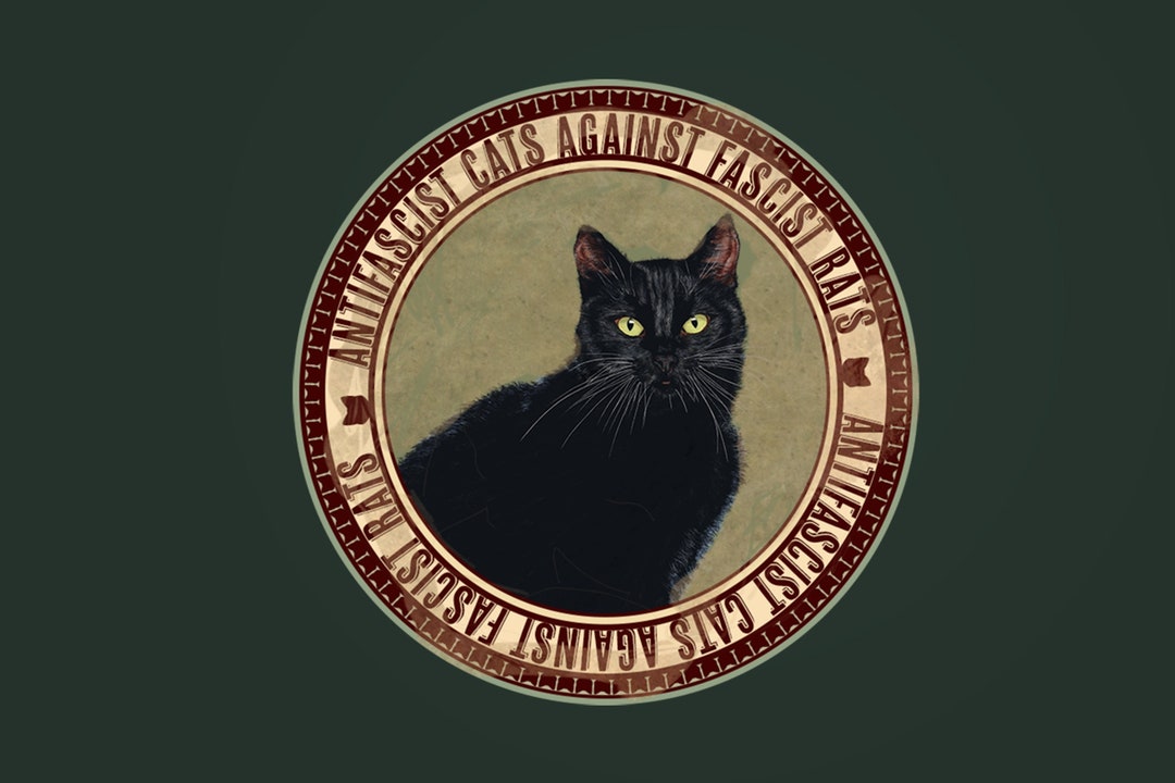 Antifa, Antifascist Cats Against Fascist Rats Stickers, Durable ...