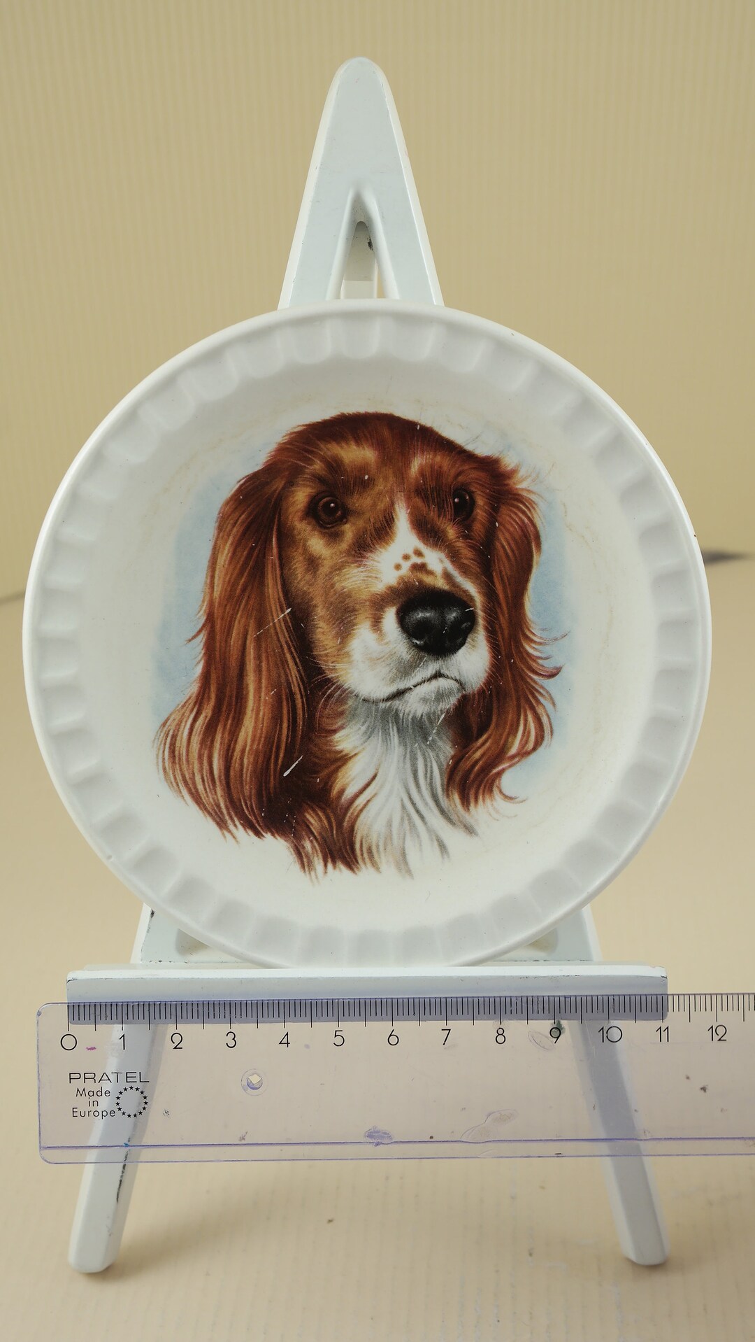 Vintage Mini Plate With Dog Picture Made in England - Etsy