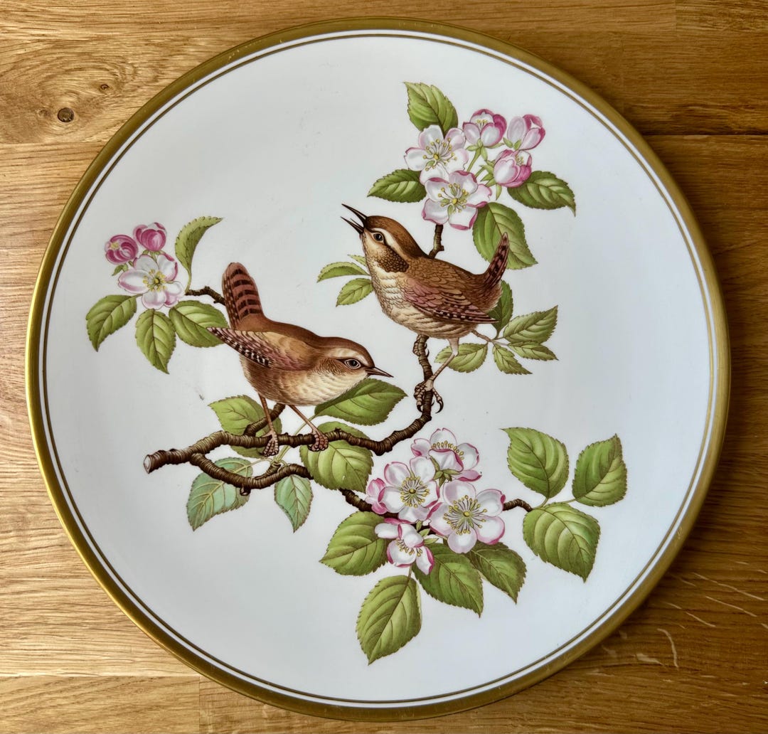 SPODE GARDEN BIRDS I Wren I Collectors Plate L Troglodytes Parvulus L ...