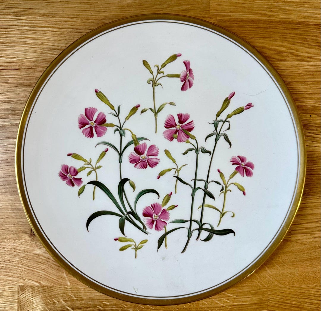 SPODE WILD FLOWERS I Pink Cheddar Plate I Collectors Plate L Dianthus ...