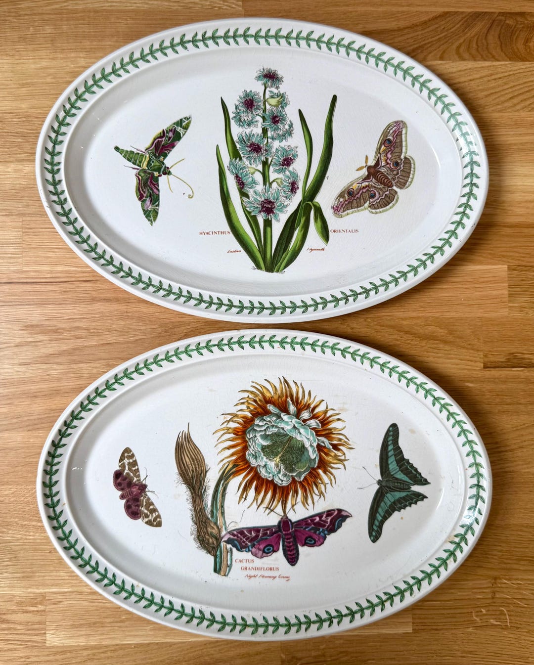 PORTMEIRON Susan Williams-ellis Portmeirion Botanic Garden Ceramic Oval ...