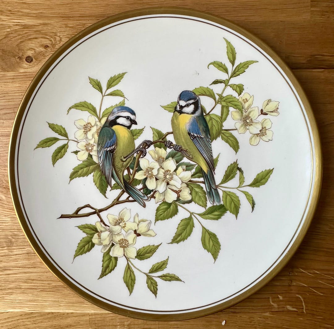 SPODE GARDEN BIRDS I Blue Titmouse I Collectors Plate L Parus Coerulues ...