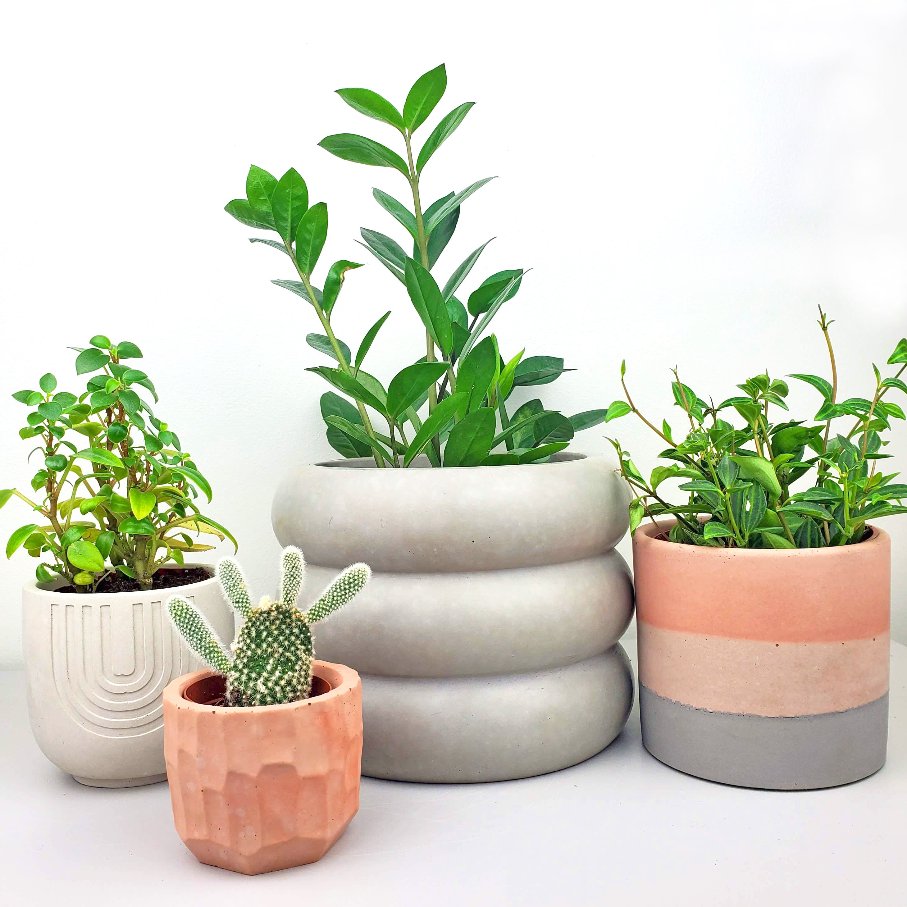 Small Arch Concrete Planter Cement Plant Pot Drainage Hole - Etsy