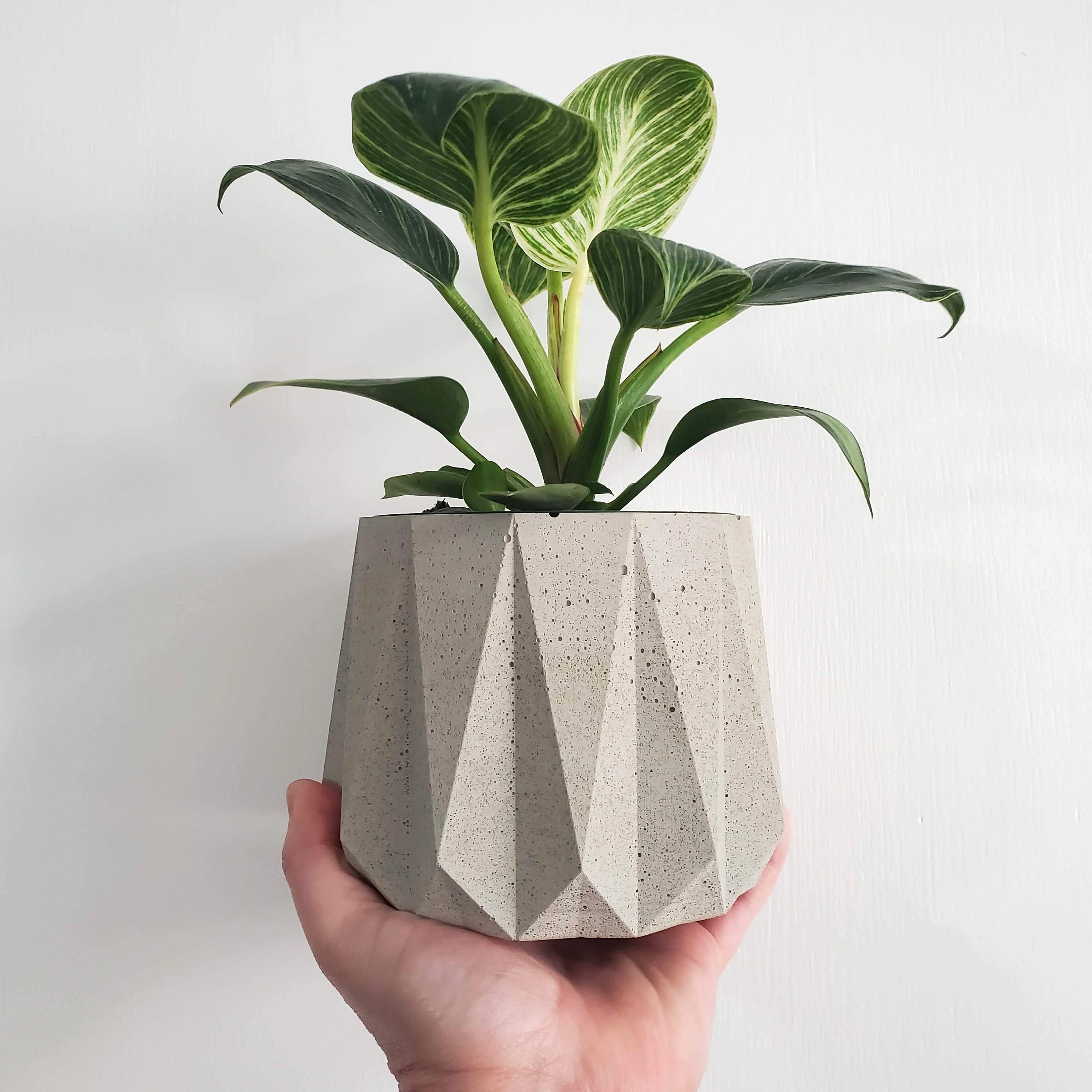 4 Faceted Cement Plant Pot Drain Hole Flower Pot - Etsy België